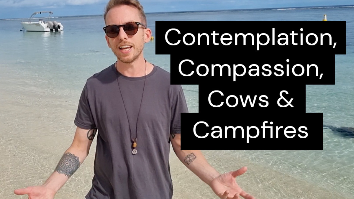 A round-up of the first ever Medito Mindfulness Retreat - Medito Foundation